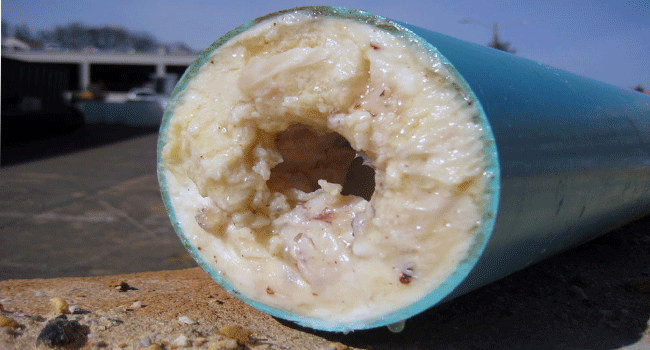 Fats, oils, grease disposal program to relaunch in time for Thanksgiving